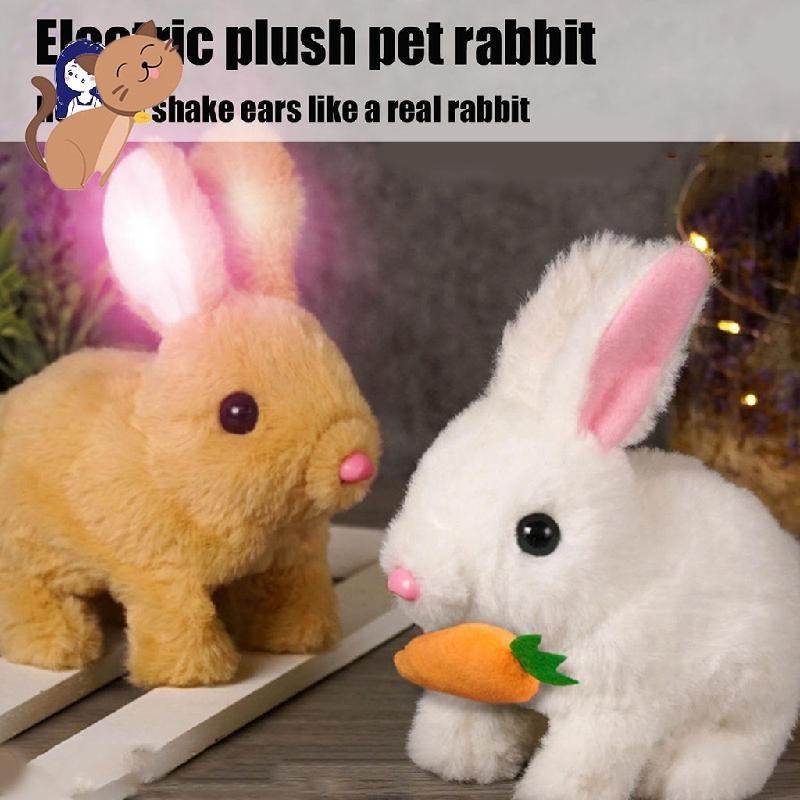 Bunny Realistic Bunnies, Bunby Realistic Bunny, Bunny Realistic Bunny ...