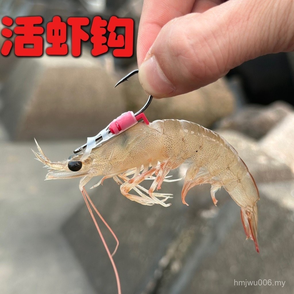 [Smooth Coating] Live Shrimp Hook Shrimp Back Hook Live Shrimp Hook Sea ...