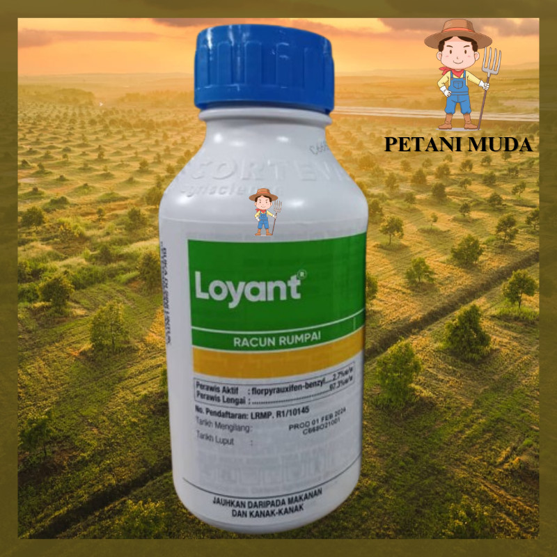 [ORIGINAL] 500ml LOYANT DOW RACUN RUMPAI PADI PASCA CAMBAH (SAMBAU ...