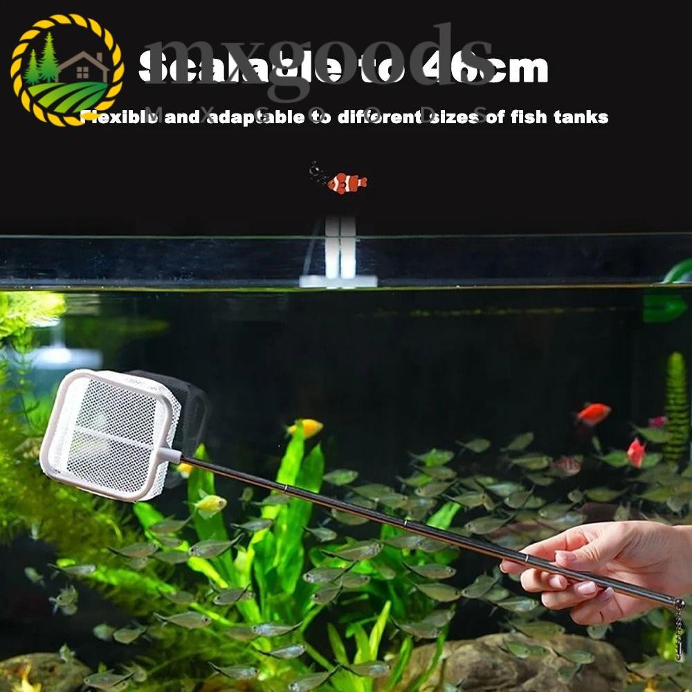 MXGOODS Aquarium Square Fishing Net, Stainless Steel Long Handle ...