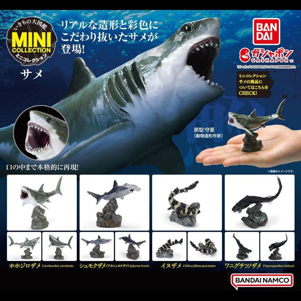 Bandai BANDAI Capsule Toy MINI Biological Illustrated Book Shark Big ...