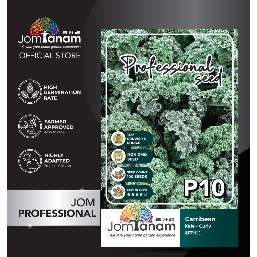 Curly Kale Seed Carribean P10 JOM TANAM Benih Kailan Kerinting 羽衣芥蓝种子 ...