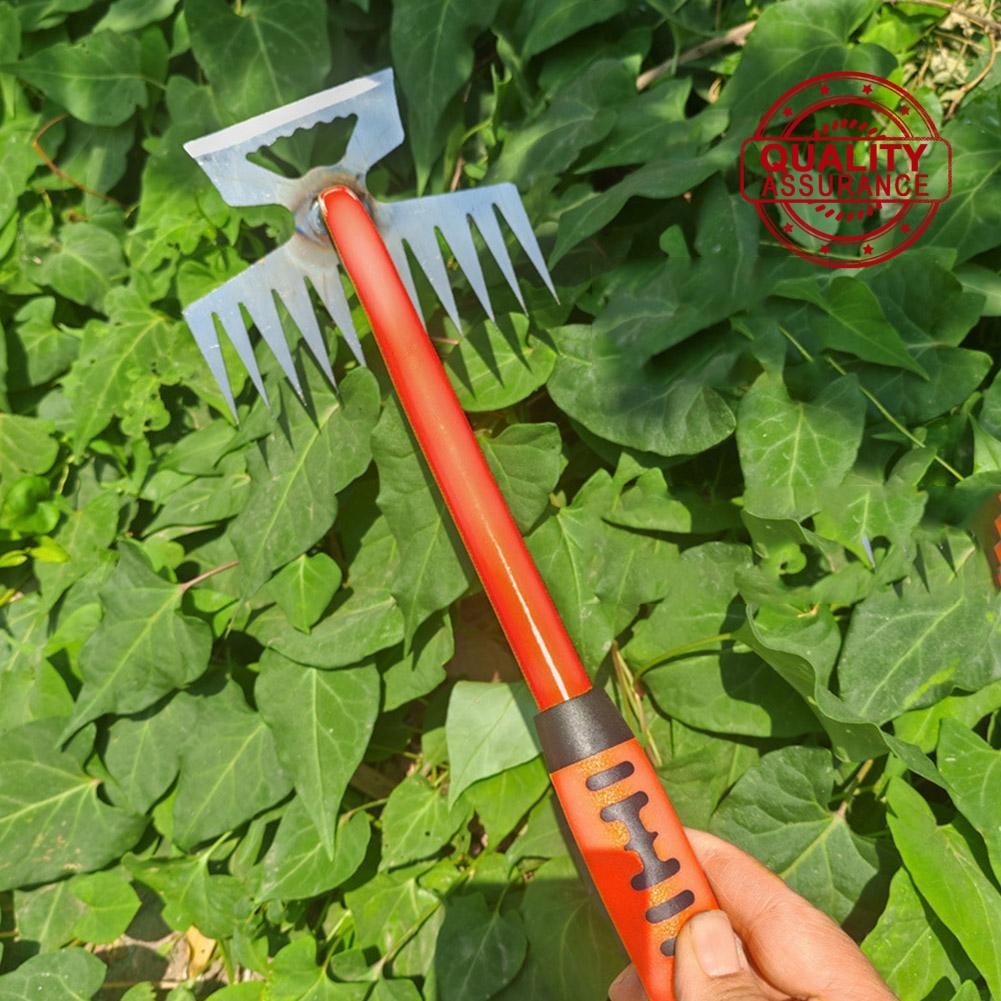 Horticultural Weed Killer, Hoe, Rust Proof Weed Killer, Etc And Rake ...