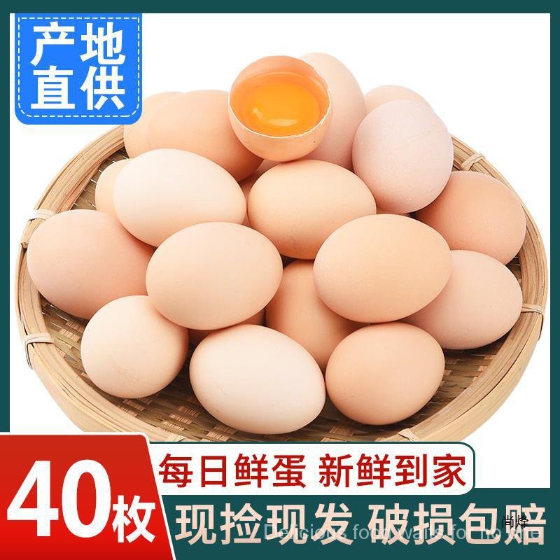 MY.Free-Range Fresh Native Egg 40 Farm Native Egg First-Born Eggs Free ...