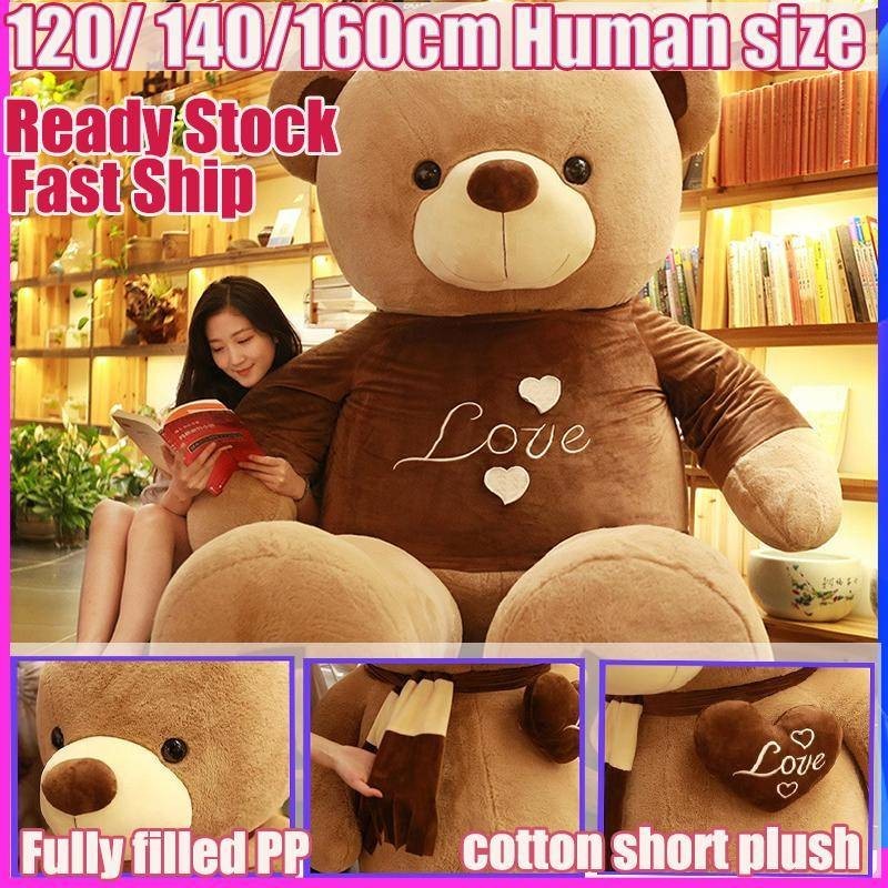 (Ready Stock)120/140/160cm human size teddy bear teddy bear for girls ...
