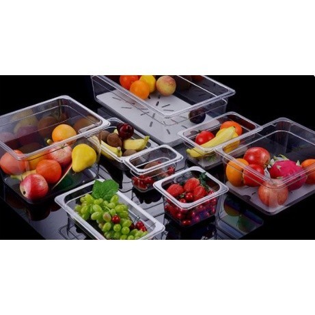 1/1 Size PC Food Pan / Acrylic Plastic Food Pan /Bekas Makanan Kenduri ...