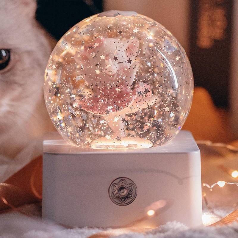 Crystal Ball Birthday Gift Bird Poetry Crystal Ball Music Box Music Box ...
