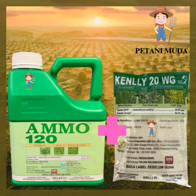 4L AMMO 120 + 250G KENLLY 20WG (1 SET PACKAGE) RACUN RUMPUT KEMATIAN ...