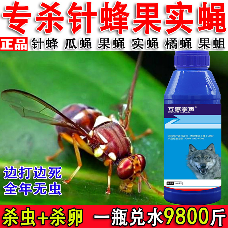 Insect repellent Fruit Fly Flower Bud Maggot Needle Bee Fruit Fly ...