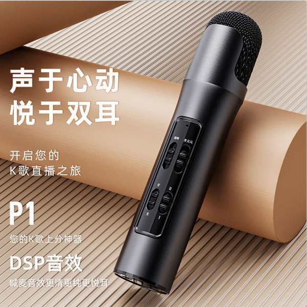 wireless microphone mic amgrass microphone wireless Factory P1 ...