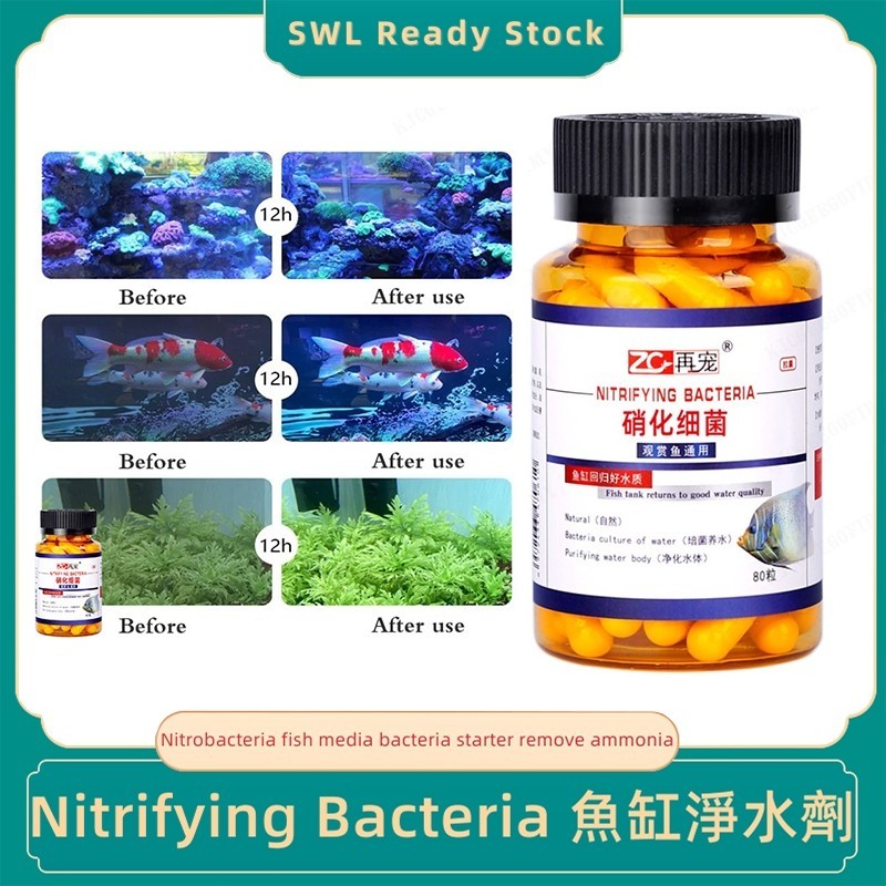 Nitrifying Bacteria Capsule 30Pcs Nitrobacter Clear Water Fish Tank Water Purifier Breeding ...