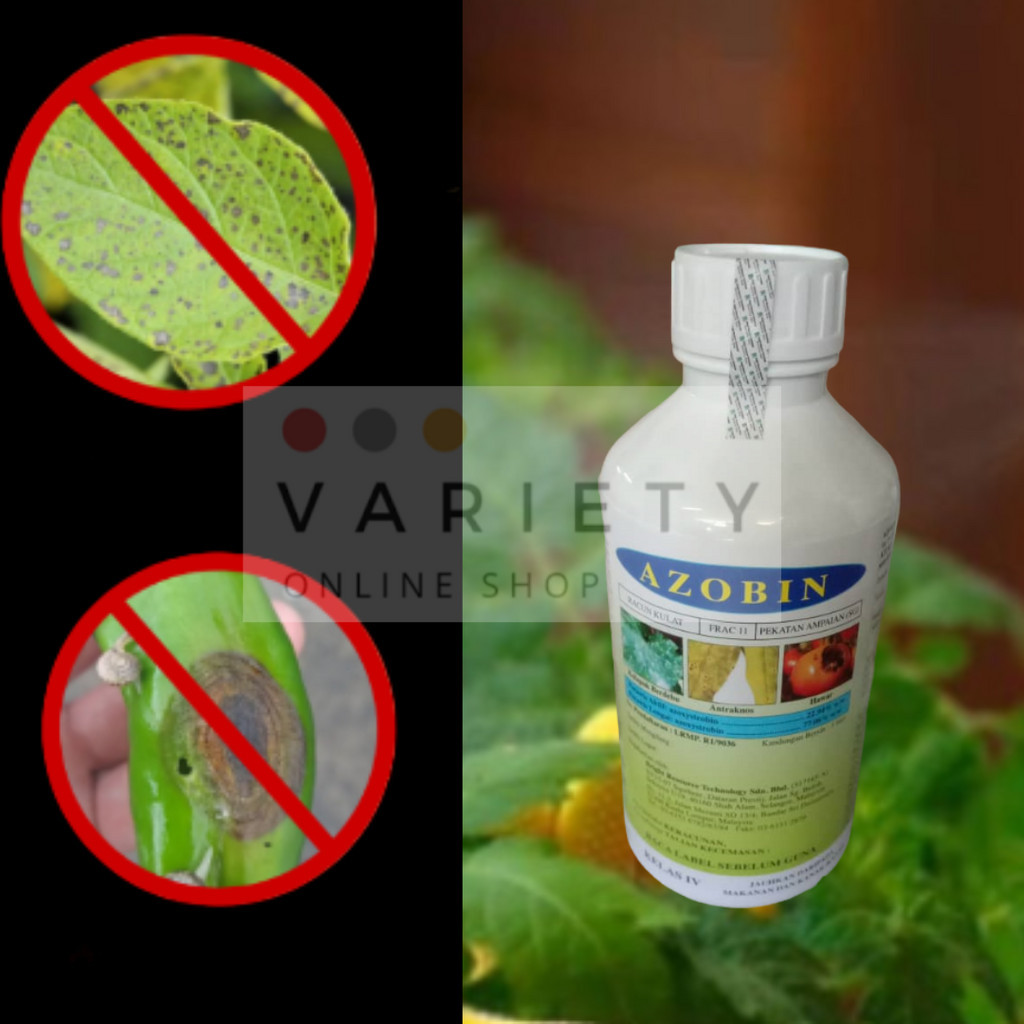 1L BRT Azobin / Azoxystrobin / Amistartop RACUN KULAT FUNGICIDES ...