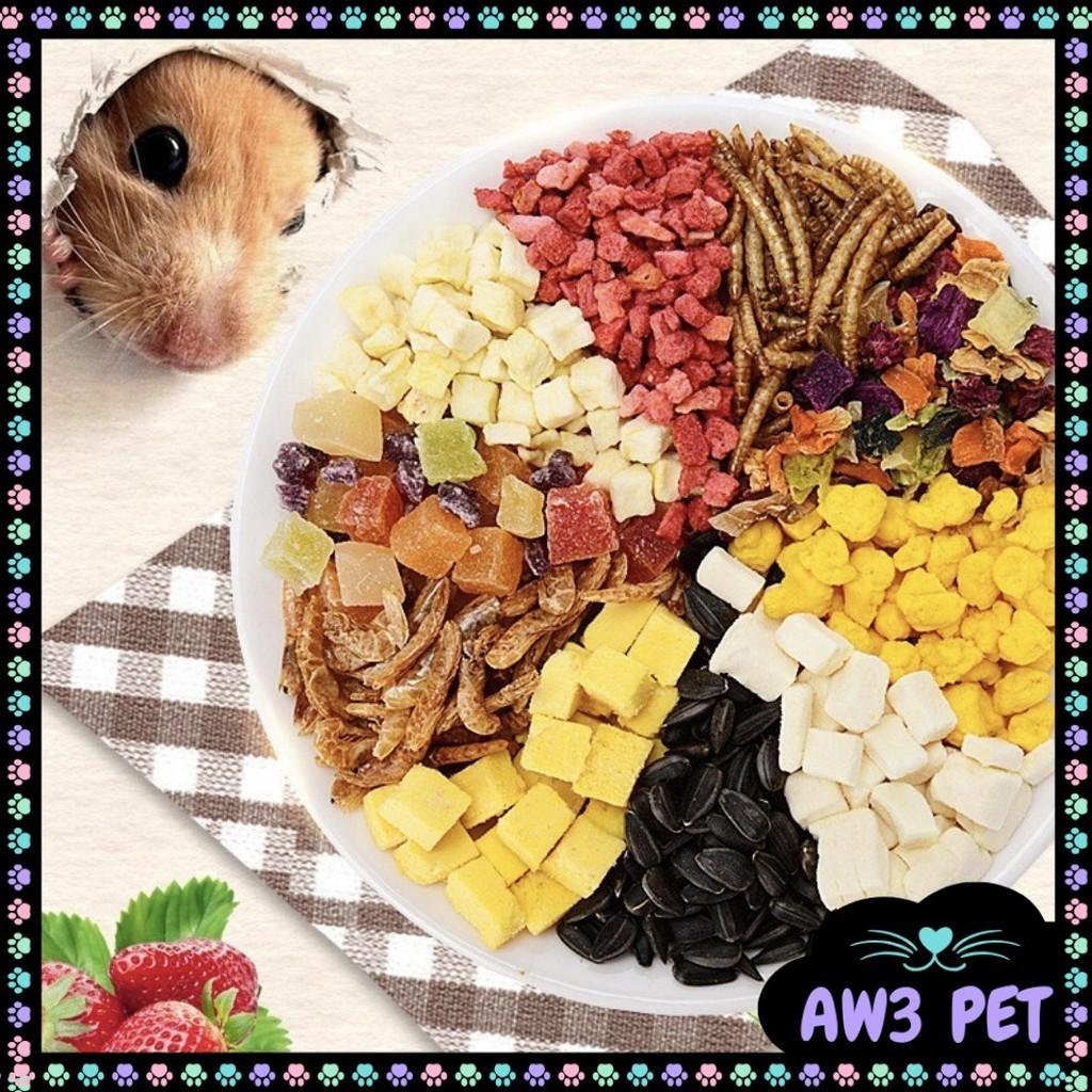 10G Hamster Snacks Hamster Treats Testing Package Makanan Hamster Dried ...