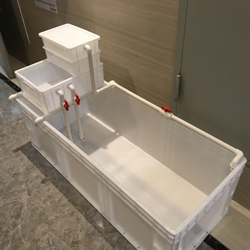 Kotak Perolehan Penapis Tangki Penyu Besar Tangki Penanaman Tanaman ...