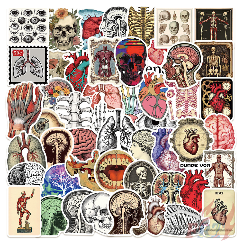 Human Anatomy Art Series 04 Stickers 50Pcs/Set DIY Waterproof Fashion ...