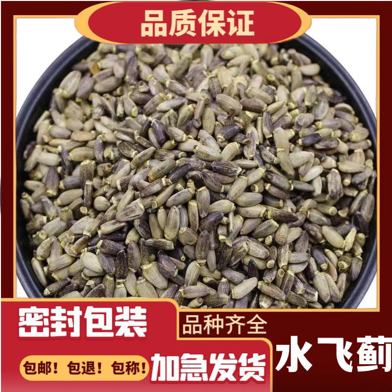 Chinese Herbal Medicine Water Flying Thistle Seed Water Flying Thistle ...