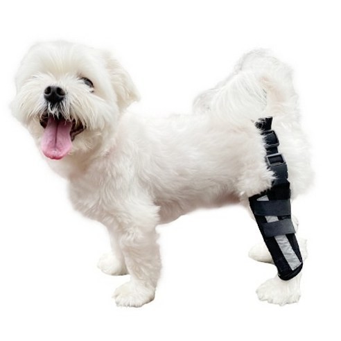 Dog patella protector dislocation leg joint support, support XXS (left ...