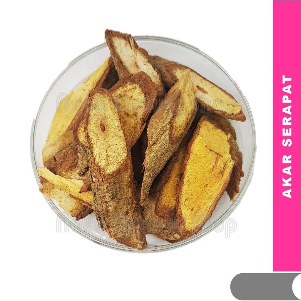 Kayu Serapat (Parameria Laevigata) Kayu Rapet/ Akar serapat | Shopee ...