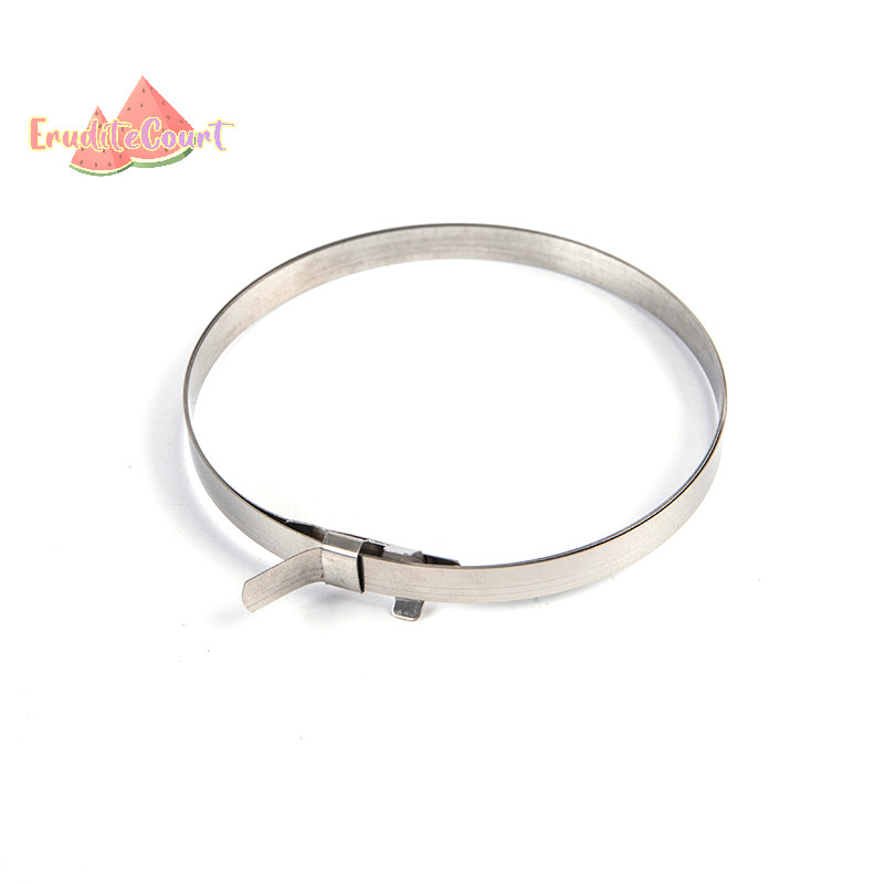 [EruditeCourtM] 4pcs Axle CV Joint Boot Clips Kit Stainless Steel Cable ...