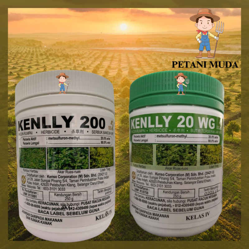 250G KENLLY 20WG / KENLLY 200 (Sama Ally) Anak Kayu/Anak Pokok ...