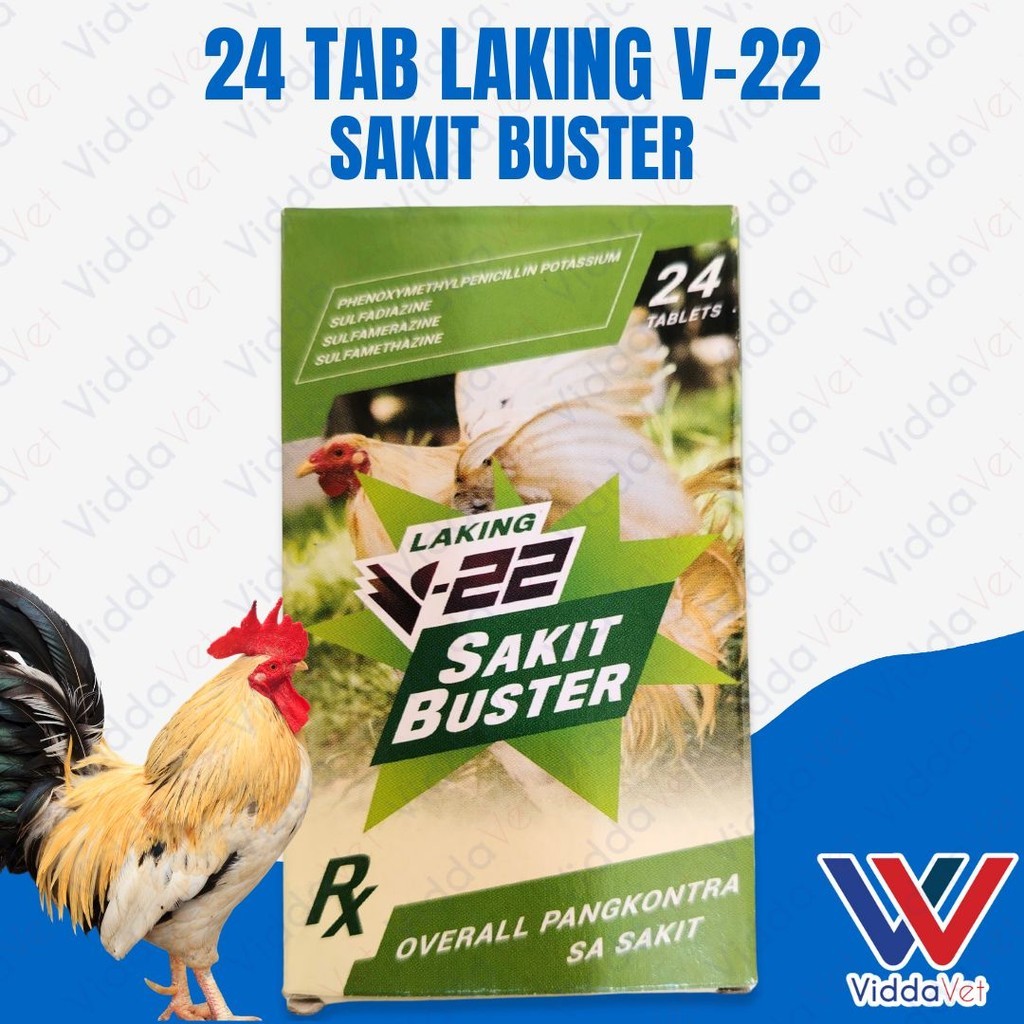 Laking V22 Sakit Buster 24 Tablets for Animal Wellness Support | Shopee ...
