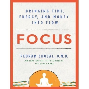 Focus_ Bringing Time, Energy, and Money into Flow Book - Pedram Shojai ...