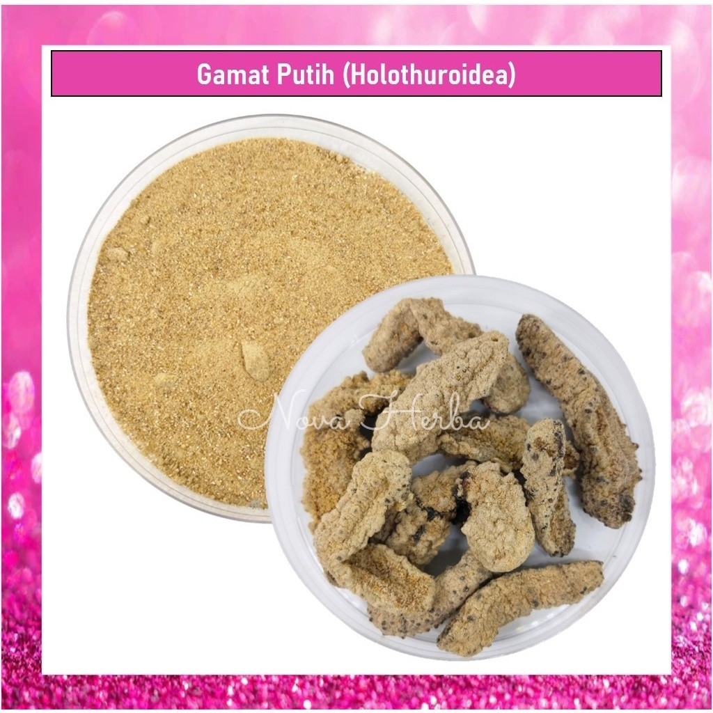 Ibu gamat putih asli kering Langkawi (Holothuroidea) (15g/ 25g) Sea ...