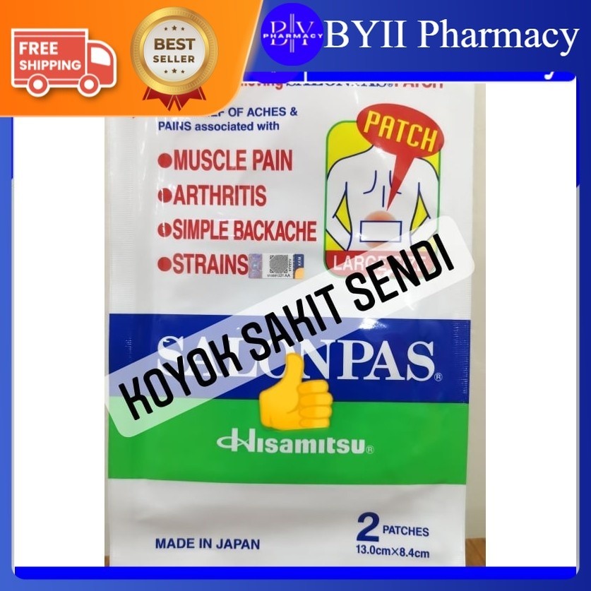 HISAMITSU SALONPAS (2PATCHES) (13CMX8.4CM) | Shopee Malaysia