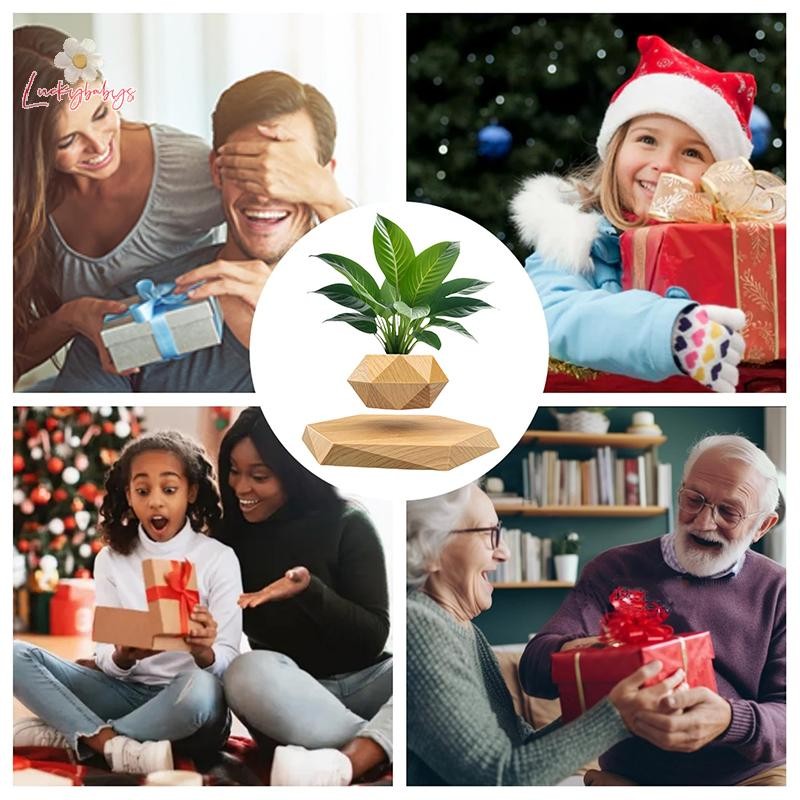 Luckybabys> Levitating Air Pot Rotation Flower Pot Planters Magnetic ...