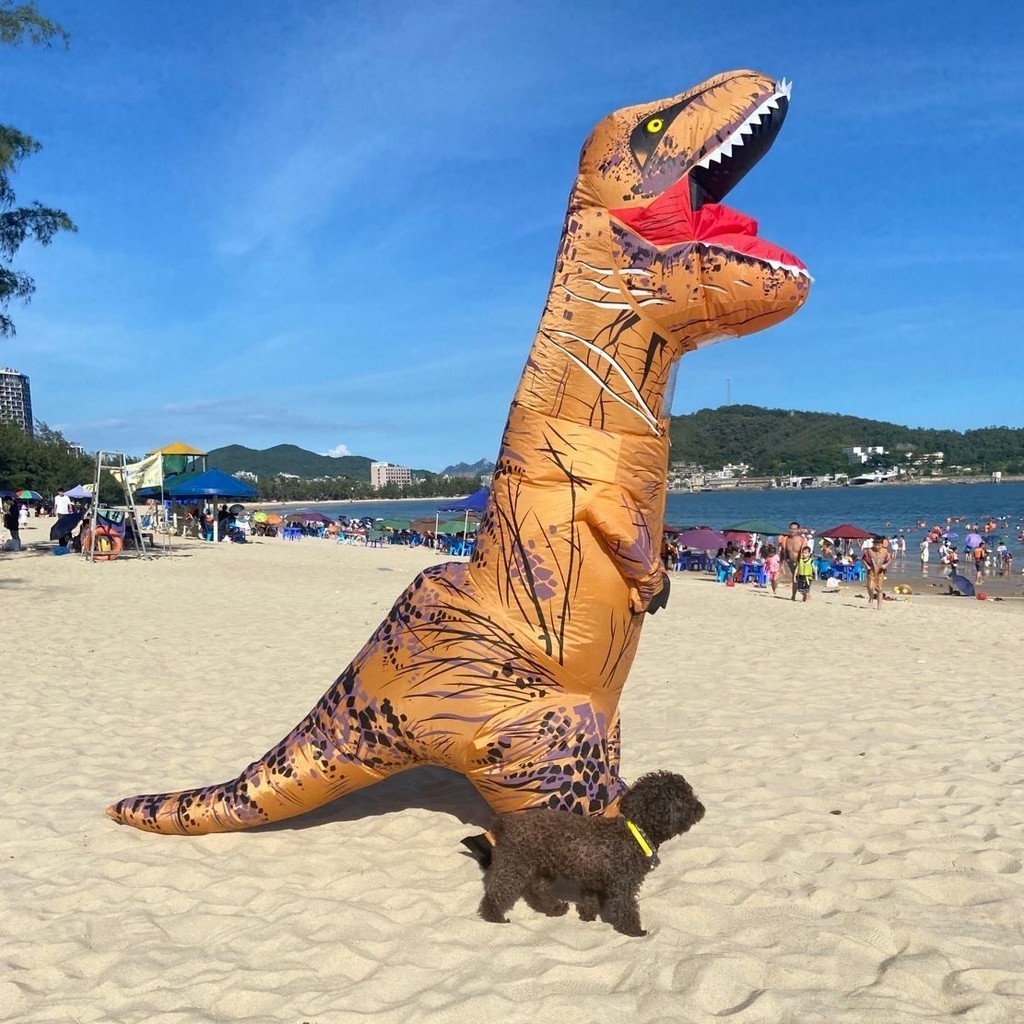 Tyrannosaurus Rex Dinosaur Inflatable Clothing Festival Event Dressing ...