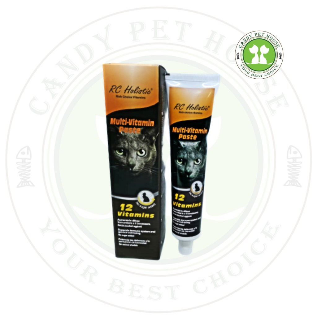 Rich Choice Holistic Multi-Vitamin Paste 80g | Shopee Malaysia