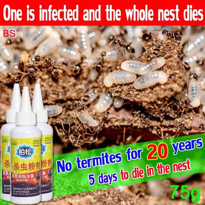 【Efficacy: 99.97% 】termite pesticide home termite drug in home termite ...