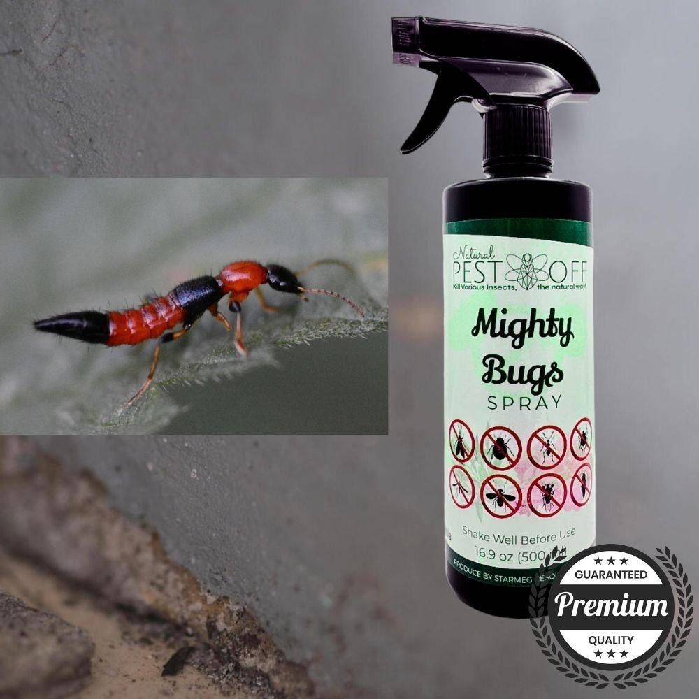 PestOff Mighty Bugs Spray Kill Charlie Ant Bunuh Semut Charlie Fast ...