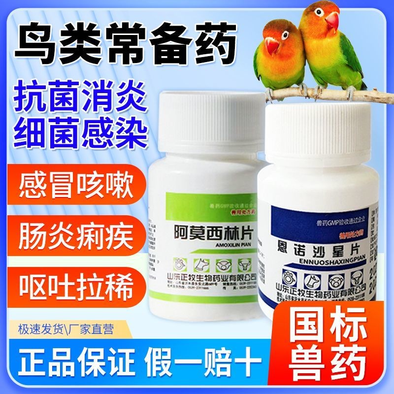[1193 People Collection] Birds Use Rare Diatom Diatom Cold Medicine ...