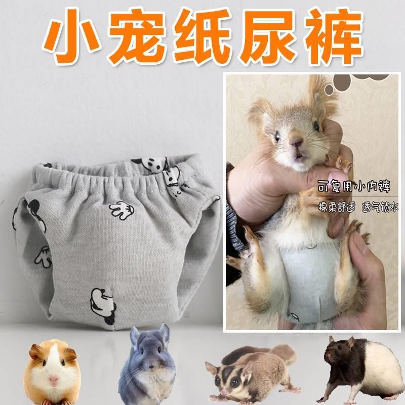 Chinchilla Diapers Wear Pet Diapers Guinea Pigs Honey-weasels ...