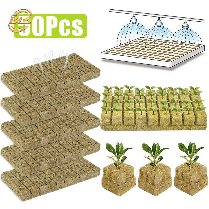 50 Pcs Hydroponic Plant Grow Blocks Rock Wool Planting Cubes ...