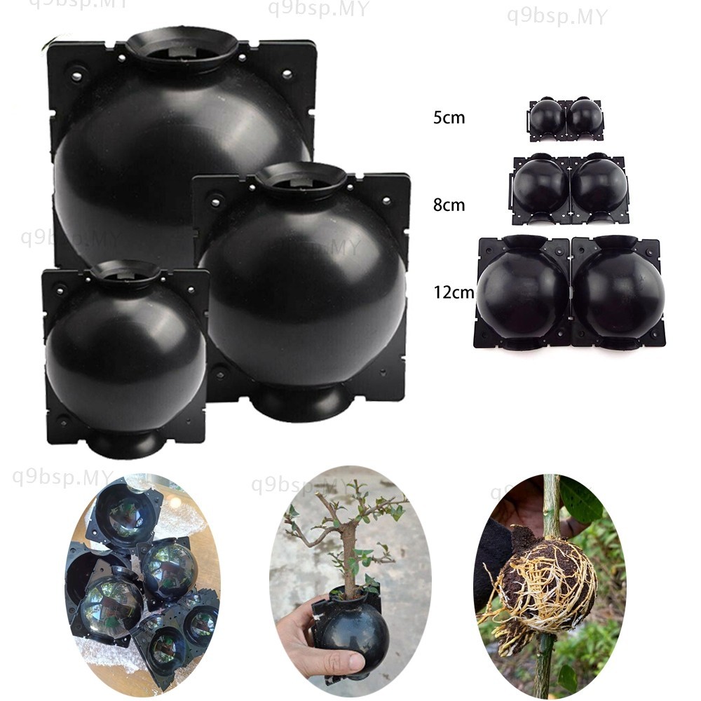 10pcs Rooter Growing High-Pressure Breeding Ball Fruit Plant Tree ...