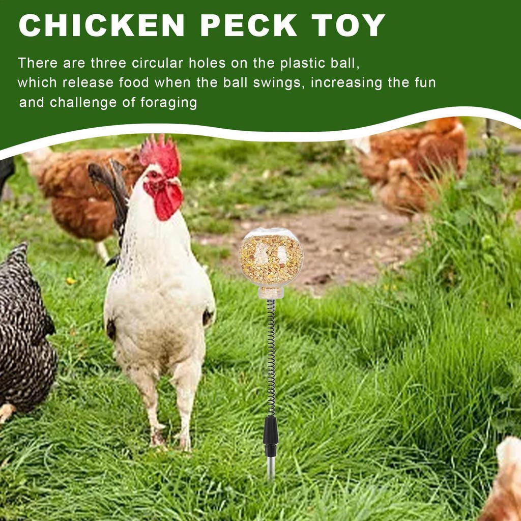 Slow Feed Release Toy for Flock Coop Swing Pecking Toy Funny Hens ...