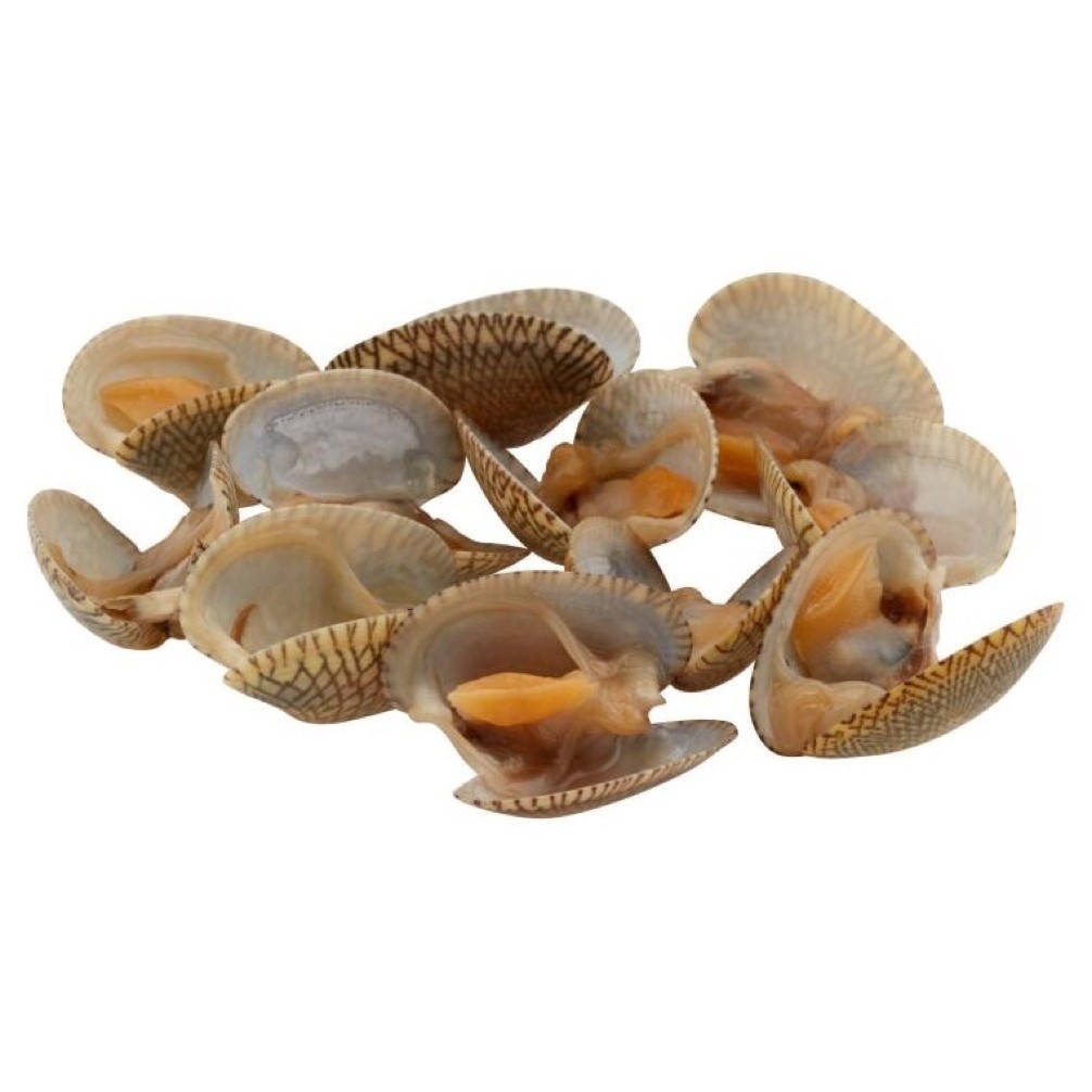 [Fresh] Lala / Shells (1kg) | Shopee Malaysia