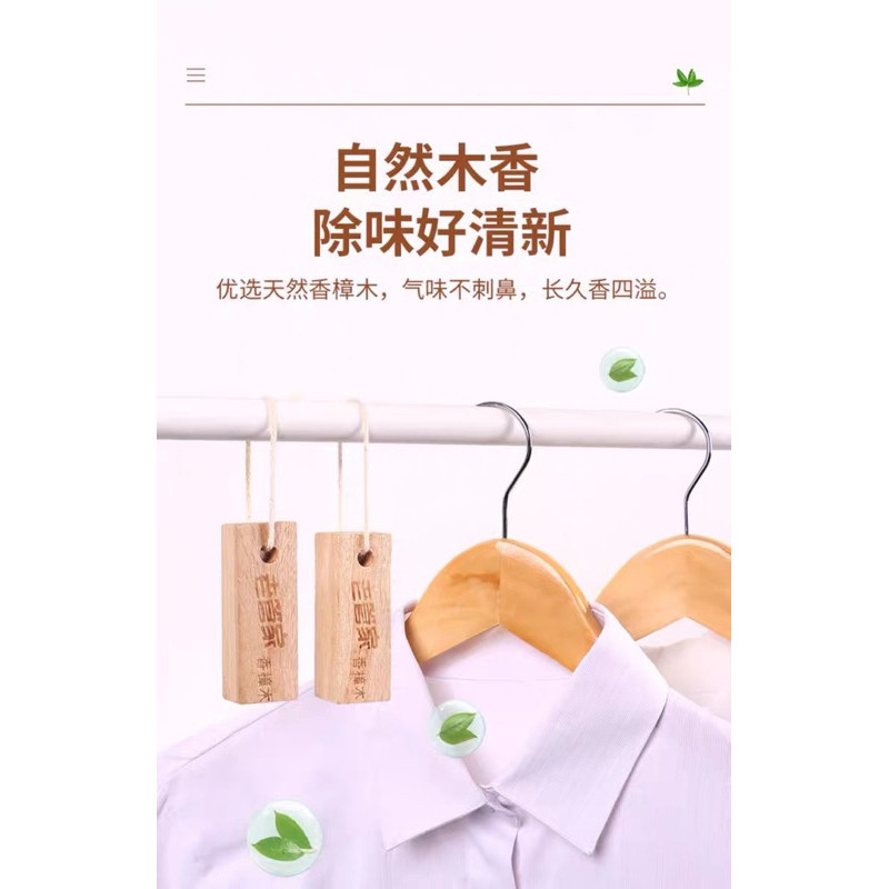 🇲🇾🐻10/ 20pcs Camphor wood balls clothes protection wardrobe insect ...