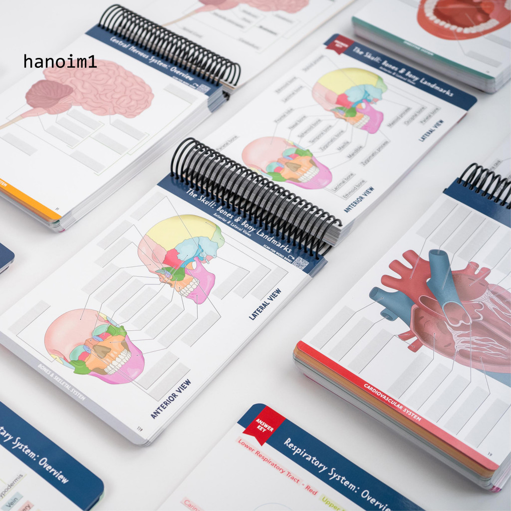 Structured Human Anatomy Workbook Color Notepad for Medical Students ...