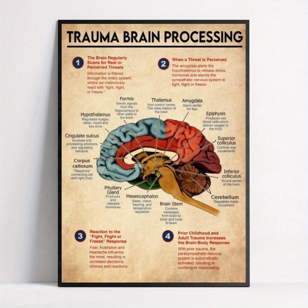 1pc Canvas Poster, Trauma Brain Processing Poster, Mental Health Poster ...