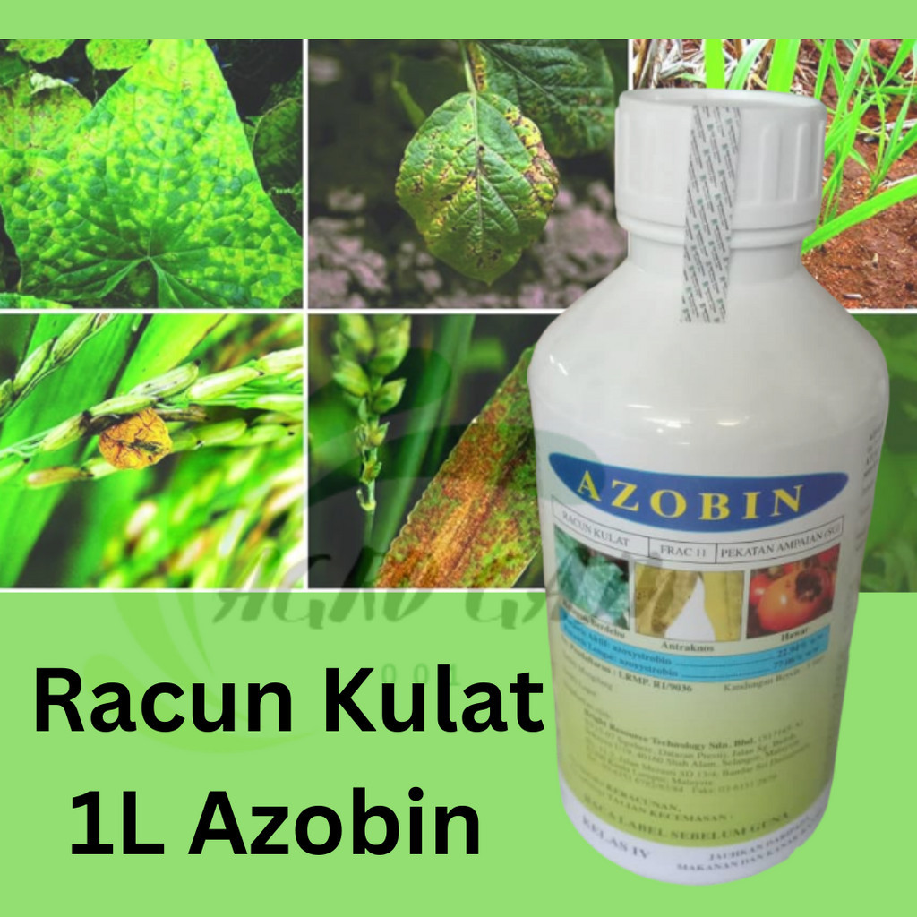 1L BRT Azobin / Azoxystrobin / Amistartop RACUN KULAT FUNGICIDES ...