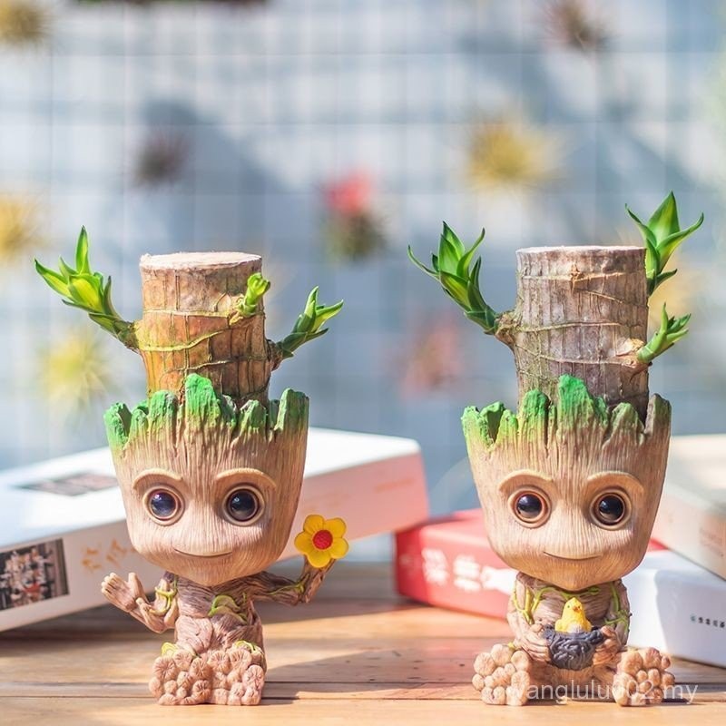 Balden Wood Potted Brazilian Wood Lucky Wood Groot Treeman Indoor ...