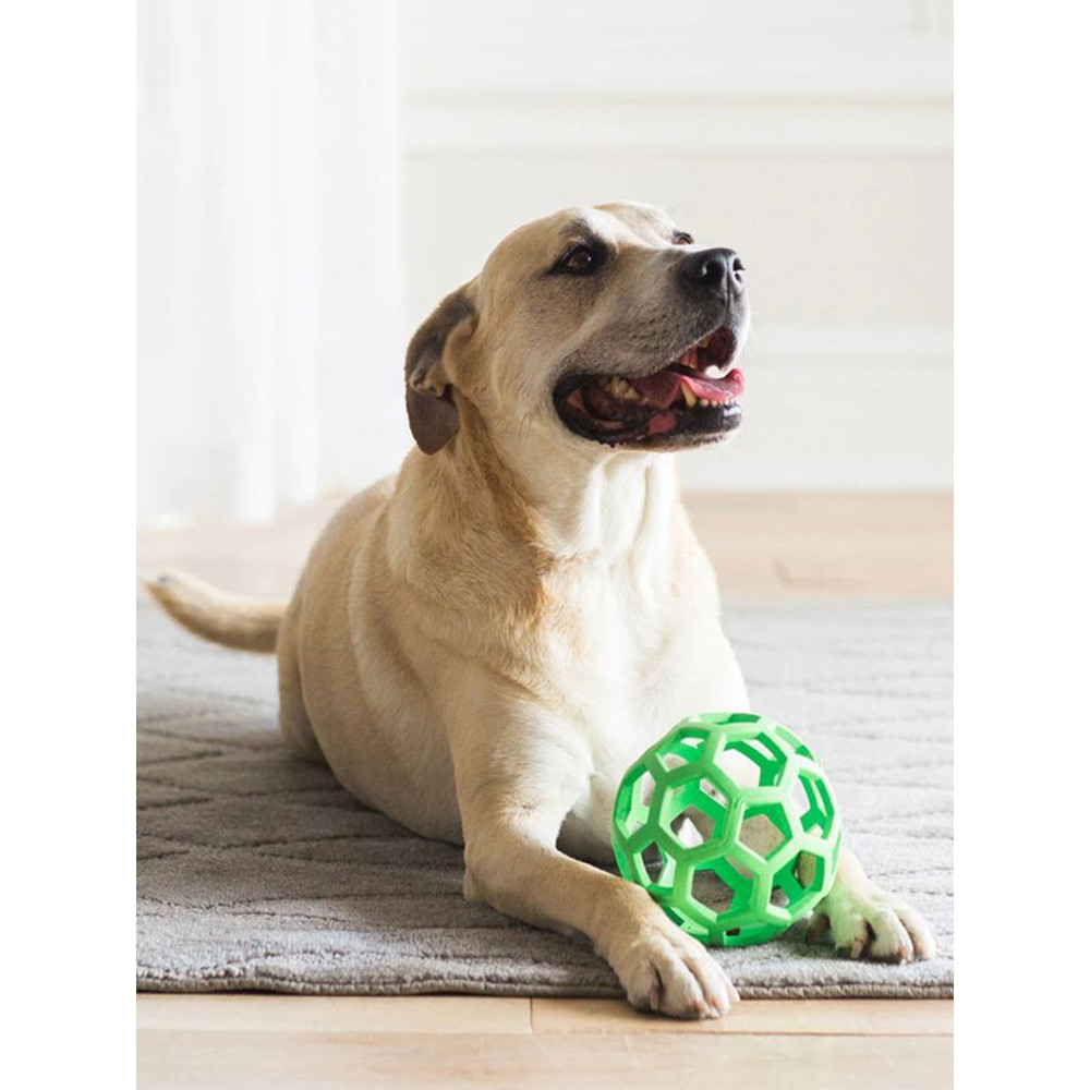 Mainan Anjing Haiwan Peliharaan American Petmate JW Geometric Ball ...