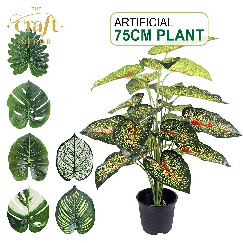 The Craft Decor 75cm Caladium | Watermelon | Monstera | Selloum ...