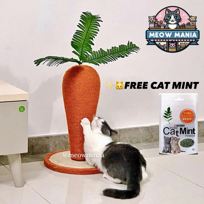 🇲🇾🐱Xtra Large FREE Cat Mint Cat Scratching Carrot Design Post Sisal Cat Scratcher Cat Pole 猫抓柱子 ...