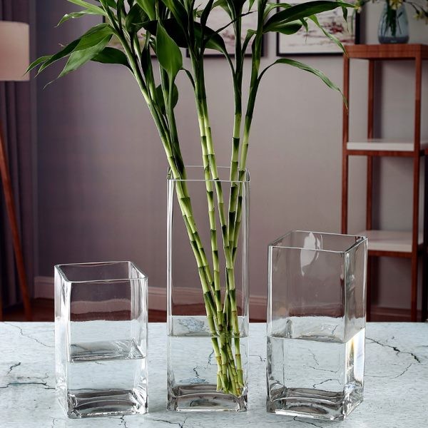 Ringan Mewah Mudah Fortune Bamboo Glass Pasu Telus Persegi Telus ...
