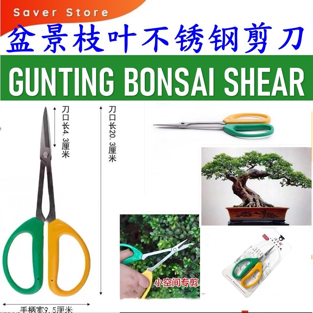 Gunting bonsai gunting pokok园艺家用修剪盆景枝叶不锈钢专业剪刀garden scissor trimming ...