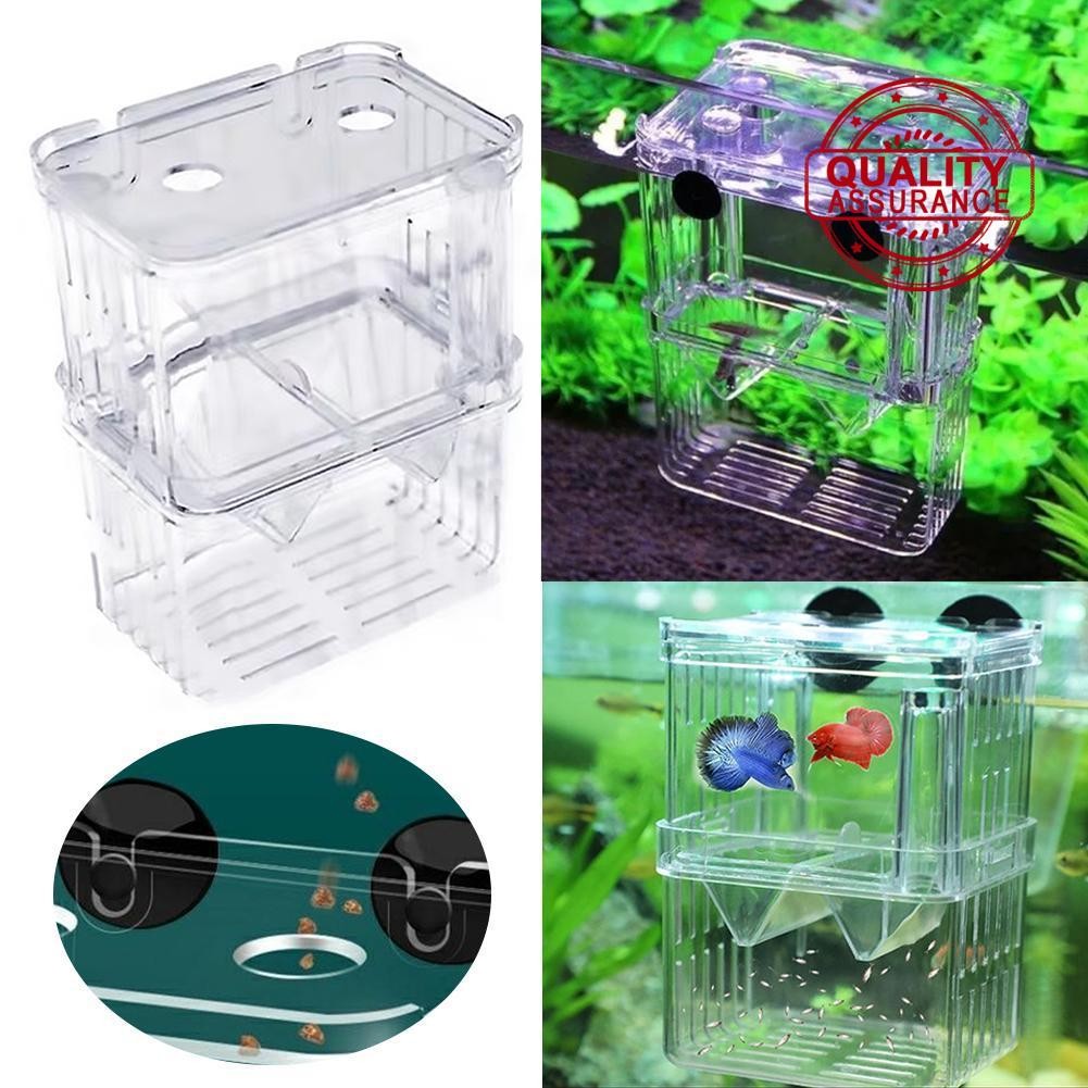 Aquarium Fish Breeder Box High Clear Double Hatching Breeding Hatchery ...
